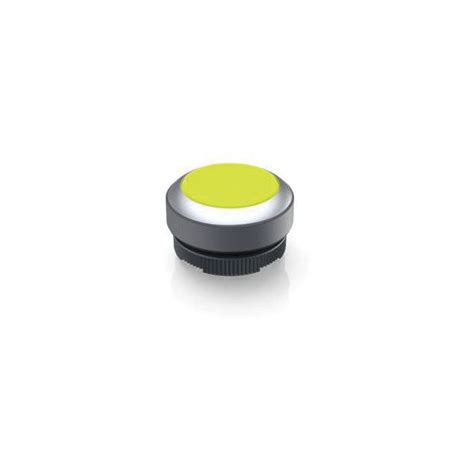 rafi push button switches illuminated push button 617977 rapid