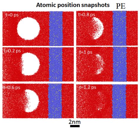 Atomic Position Snapshots Of The Collapse Dynamics Of A Single Download Scientific Diagram