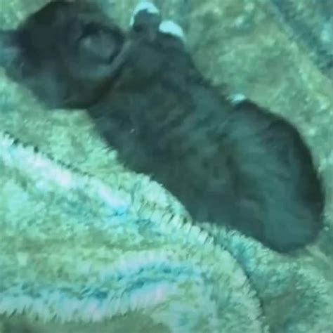 Post Angel Tumblr Com Tumbex