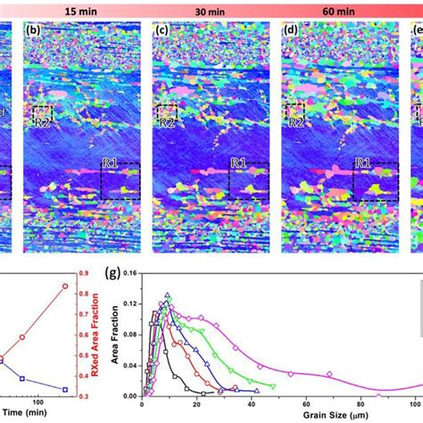 Quasi In Situ Ebsd Results Showing The Microstructure Evolution In The Download Scientific