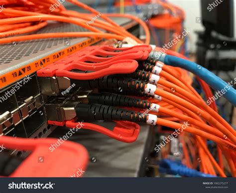 Lab Test Network Switch Fiber Cables Stock Photo Shutterstock