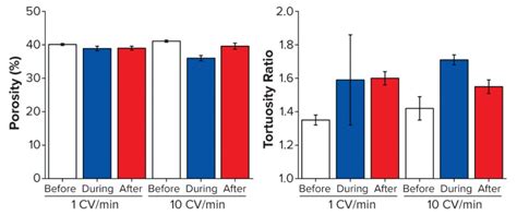 [process Development] Structure And Performance Of Chromatography Columns Inexoplat 인엑소플랫