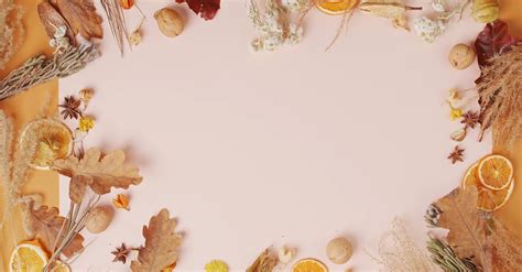 가을 감귤류 개념 건조한 계절 계절 테마 과일 구색 구색을 갖춘 꽃 다양 다양한 질감 단풍 드라이플라워 떨어지는 잎들 떨어지다 레이아웃 마른