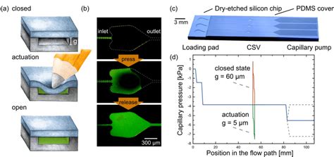 capillary soft valves csvs a working principle of a csv b