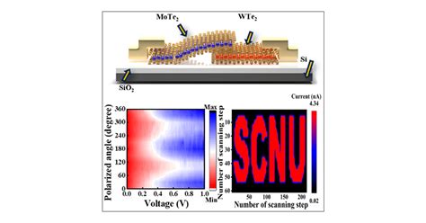 Polarization Sensitive Detector Based On Mote2wte2 Heterojunction For