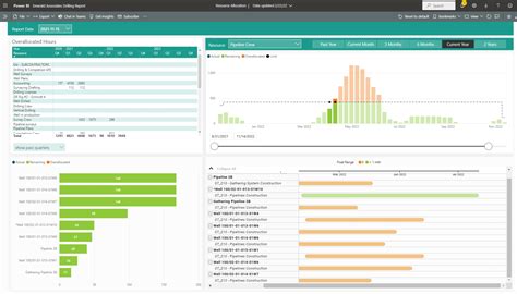 P6 Reporter Resource Allocation Dashboard