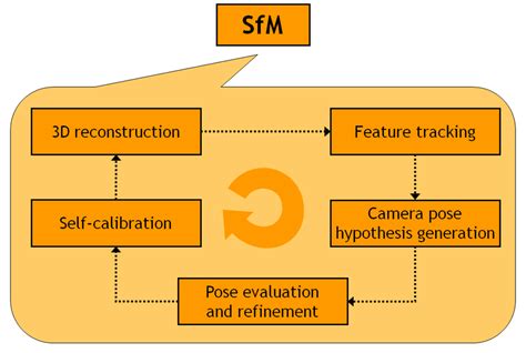 Sfm Pipeline Overview Download Scientific Diagram