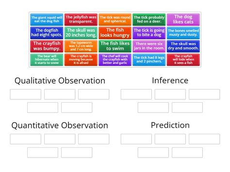 Observation Inference And Predictions Ordenar Por Grupo