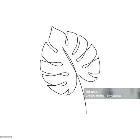 라인 몬스 테라 리프 아트 하나의 연속 라인 아트 장식 몬스 테라 리프 그리기 편집 가능한 획 단일 열대 야자 잎 요소 격리 그리기에 대한 스톡 벡터 아트 및 기타 이미지