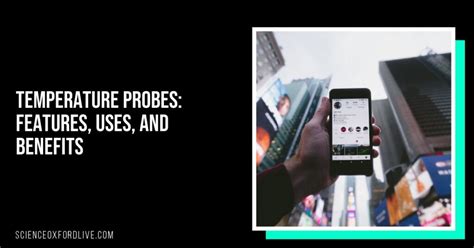 Temperature Probes Features Uses And Benefits Science Oxford Live