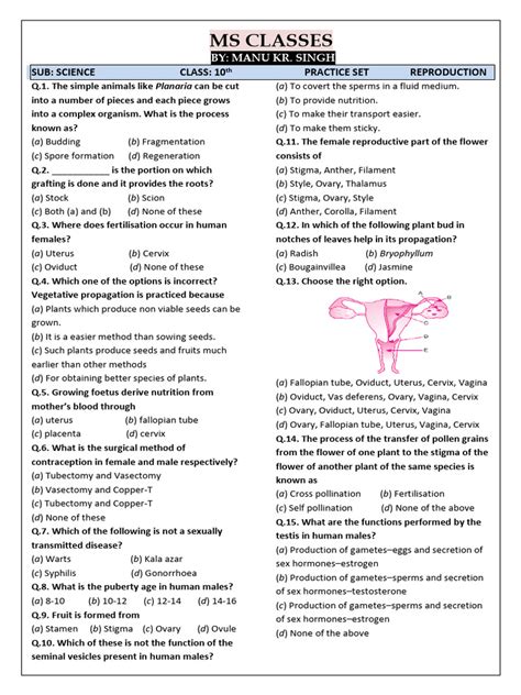 Test Reproduction 23 11 23 Pdf Mitosis Flowers