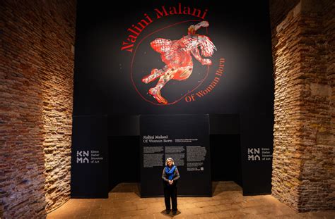 Nalini Malani Of Woman Born Exhibitions Whats On At Knma