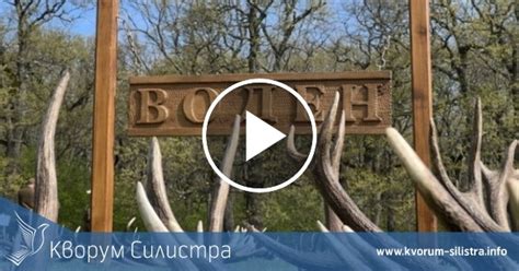 Областният управител на Силистра разгледа паднали рога от благороден
