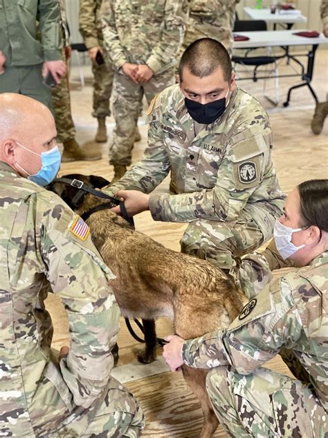 Bjach Conducts Combat Medic Qualification Training Article The United States Army
