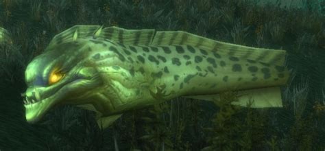 Shimmerscale Eel Npc World Of Warcraft