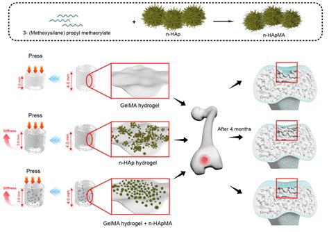 Surface Modified Nano Hydroxyapatite Ijn