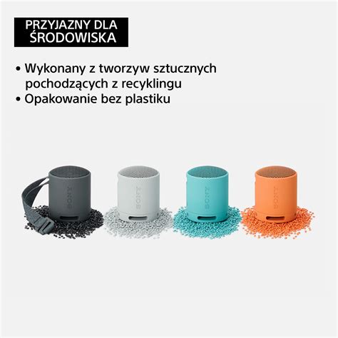 Głośnik Bezprzewodowy Sony Xb100 Czarny Srsxb100b Głośniki