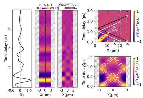 electronic interactions in dirac fluids visualized by nano terahertz