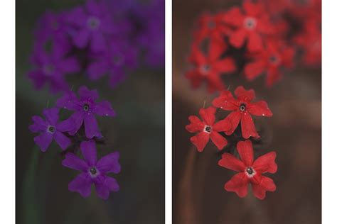 Affinity Photo Styles And Macro Bundle 574311 Other Software