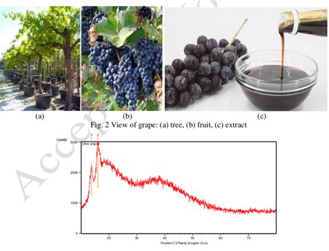 Sieve Analysis Aggregates Graph Course And Fine Download Scientific