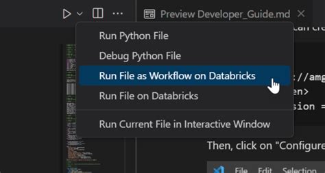 vscode and databricks data pipelines and models