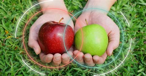 Combining Sparse Dense And Geo Fields In Elasticsearch Elasticsearch