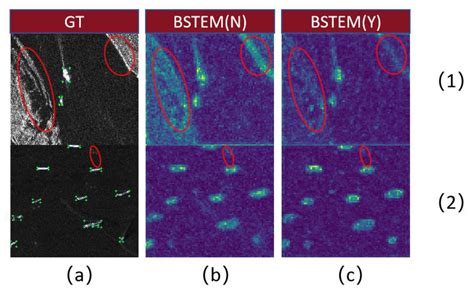 Denoising And Feature Enhancement Network For Target Detection Based On Sar Images