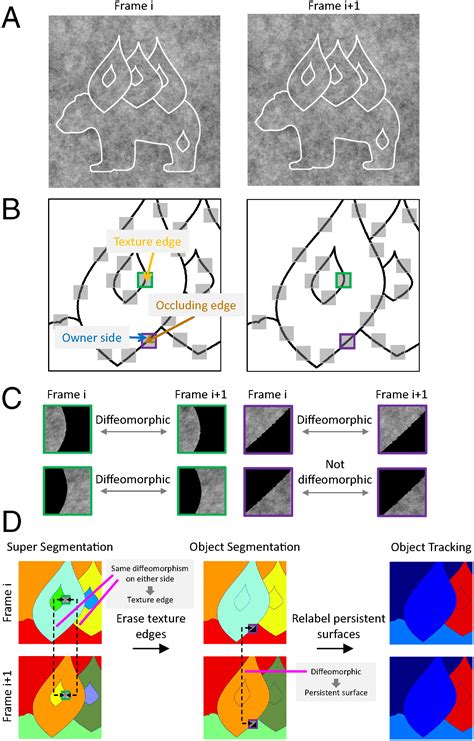 A Topological Solution To Object Segmentation And Tracking Pnas