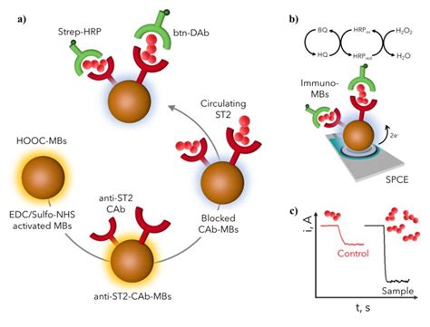 Biosensors Mdpi On Linkedin Electrochemical Plasma Cancer Immunosensing Abstract