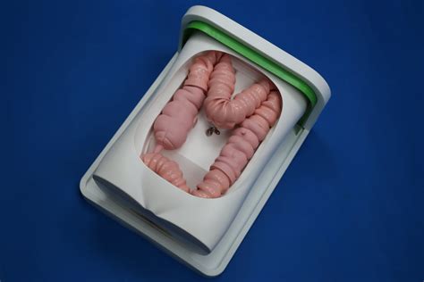 Colonoscopy Training Model
