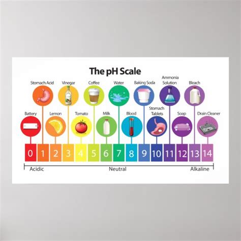 The Ph Scale Poster Uk