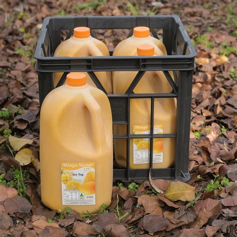 Mango Nectar Juice Fresh Juice Wholesale Treetop Juices