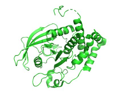 Faqs — Pymol中文教程 2022 09 文档
