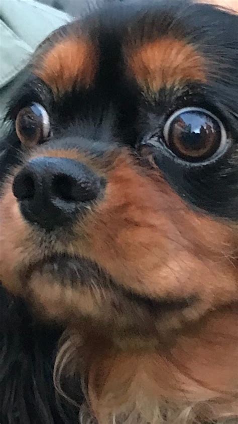 Regular Expressions Regex In Ruby And Why Theyre Useful By Khaledhassan Medium