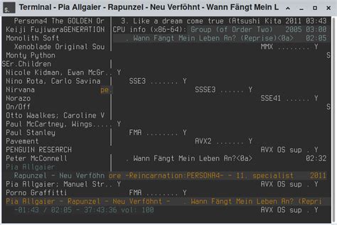 My Cmus Has Weird Texts On It R Commandline