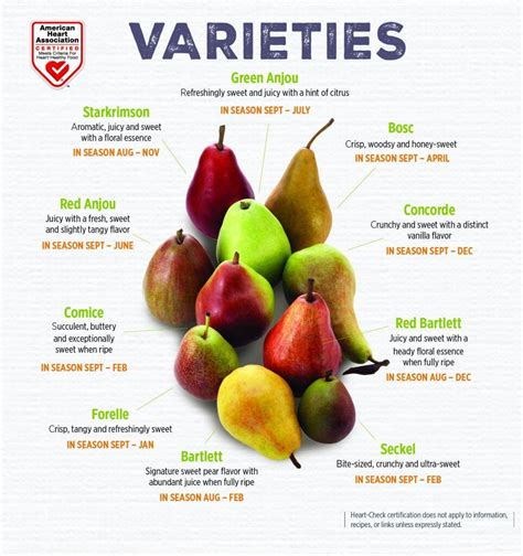 Pear Varieties Chart