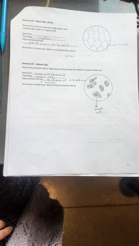 Post Lab Questions Help Lab Instructions Were Included Along With