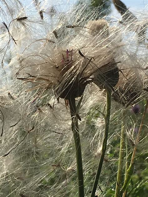 Are Your Modifiers Dangling Unsuitable Blog And Happenstance News