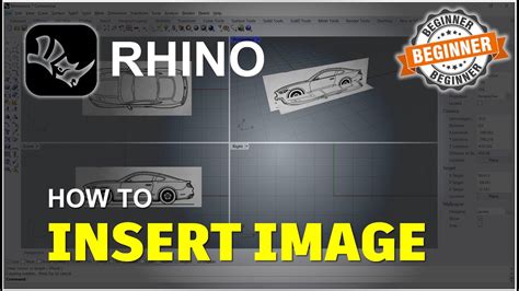 Rhino How To Insert Image Tutorial Youtube