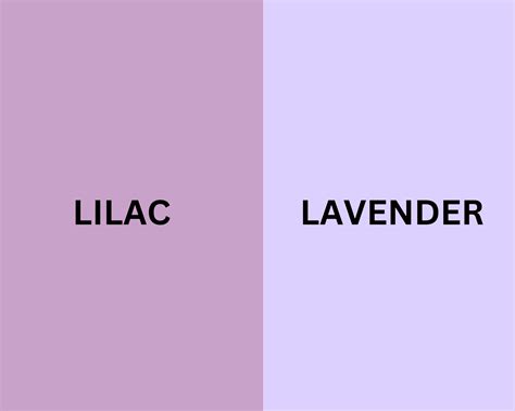 Lilac Vs Purple Vs Violet At Lola Shumack Blog