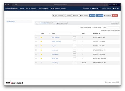 biostat cluster quickstart guide university of michigan school of