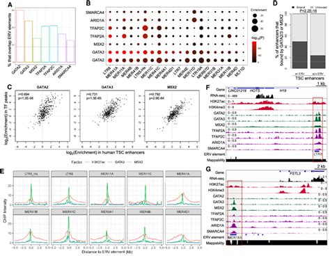 binding of gata2 3 and cofactors on different families of download