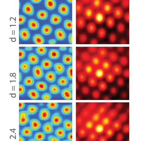 Single Cells Rate Maps And Autocorrelograms Of Neurons Along
