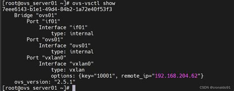 云计算：linux 部署 ovs 集群（控制端）实现openflow linux ovs csdn博客