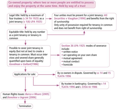 Co Ownership Flashcards Quizlet