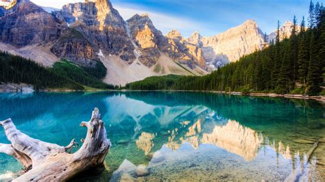 4k Nature Wallpapers Top Free 4k Nature Backgrounds Wallpaperaccess