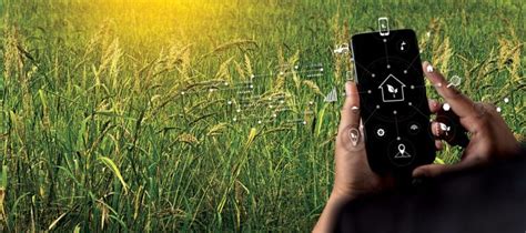 Guide To Data Collection Methods And Tools SurveyCTO