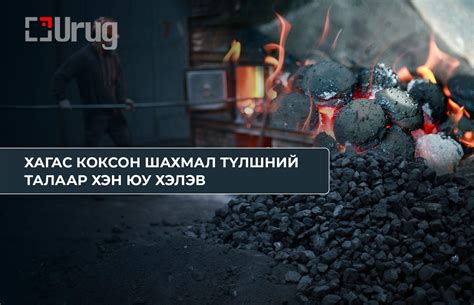Хагас коксон шахмал түлшний талаар хэн юу хэлэв