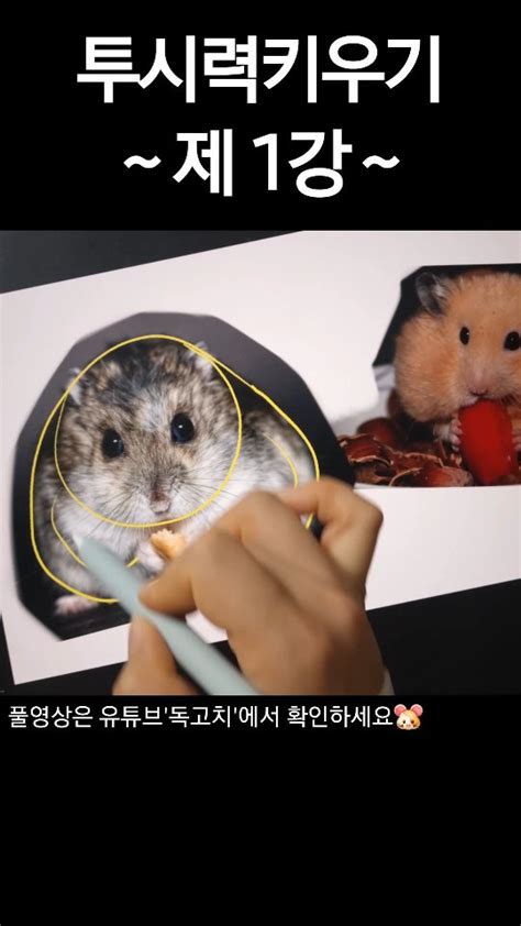 독고치 그림에 파슬리 뿌리기 🥬 ️프로필 링크를 통해 풀영상으로 확인하세요 유튜브 기초디자인 음식 계란 계란후라이 초간단드로잉 스케치