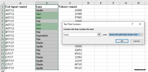Formatarea Condiționată în Microsoft Excel Madalincristian Ro